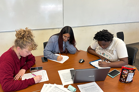 Engineering Catalyst Course Descriptions